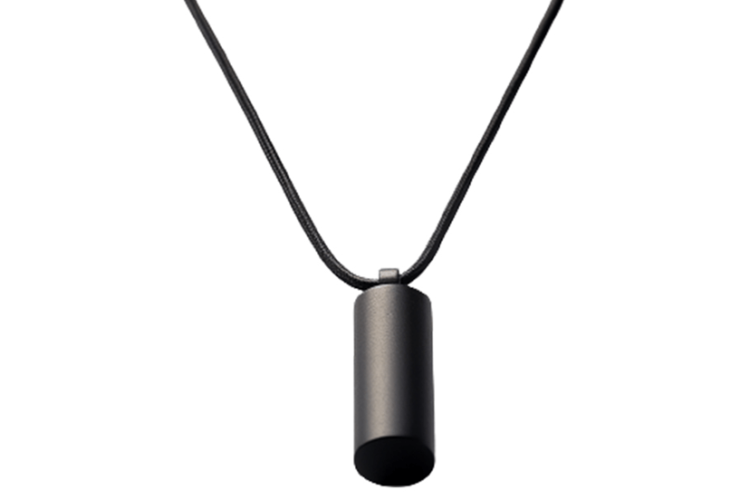 Rewind Pendant: AI-powered wearable that interacts with your daily tasks.